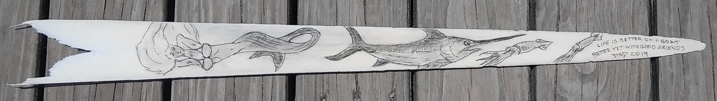 Sword bill art by Captain David Dewberry - Pelican Adventures