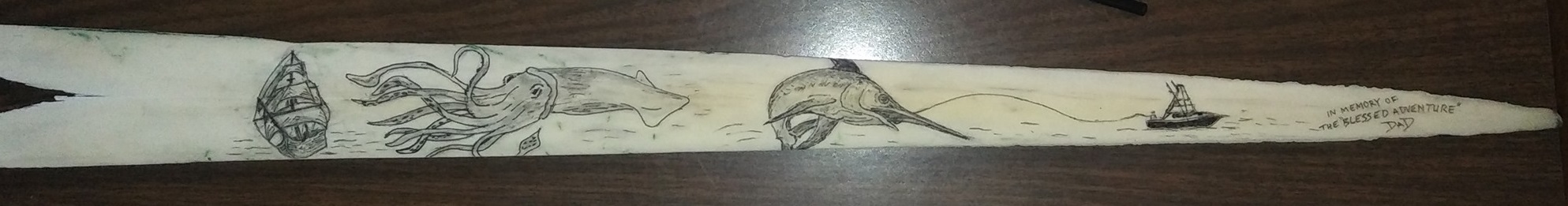 Sword bill art by Captain David Dewberry - Pelican Adventures