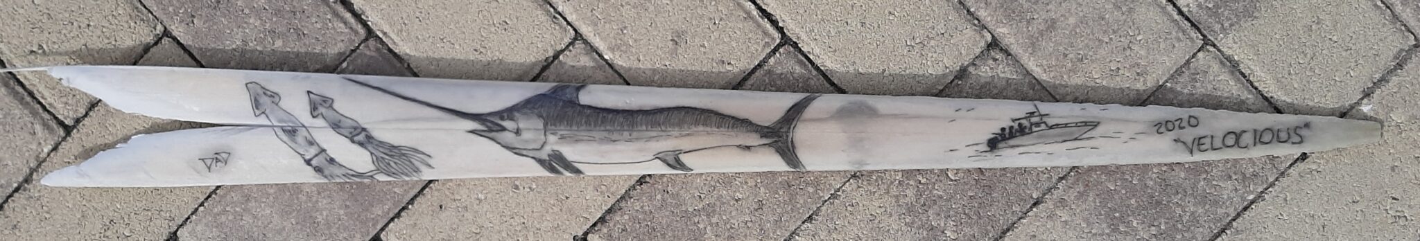 Sword bill art by Captain David Dewberry - Pelican Adventures