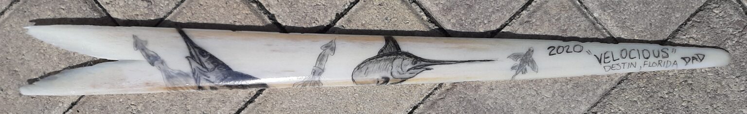 Sword bill art by Captain David Dewberry - Pelican Adventures